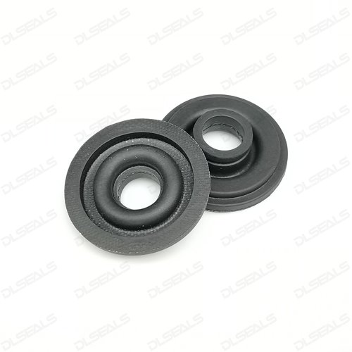 Diaphragm - products - DLSEALS